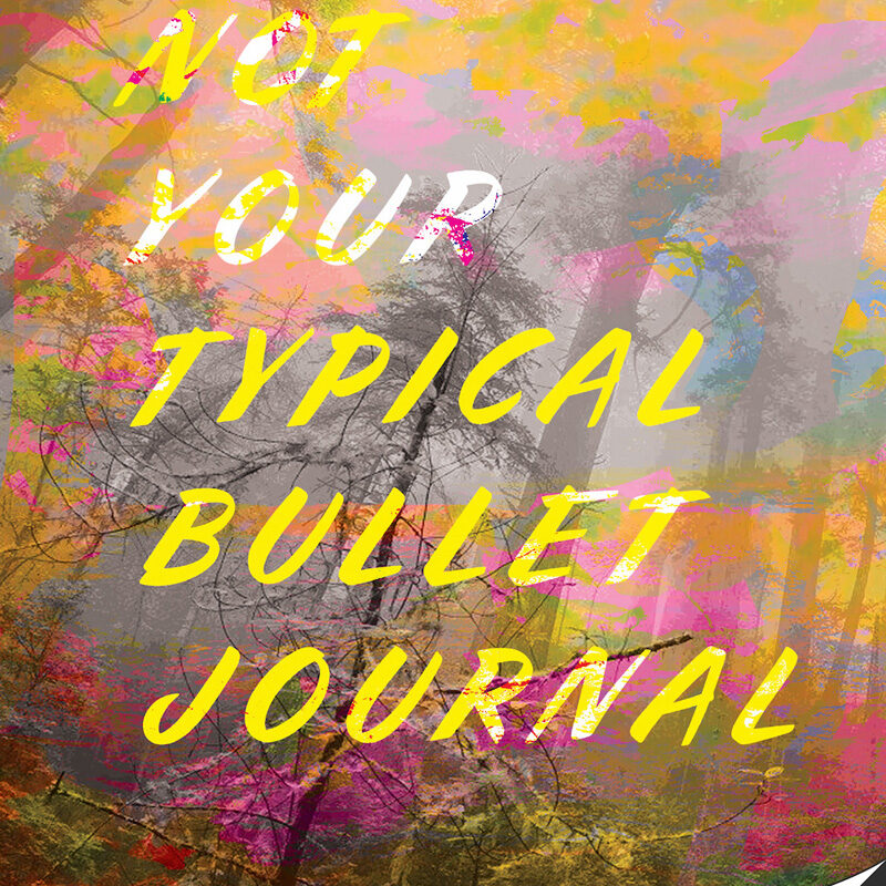 JOURNAL / PLANNER – Not Your Typical Bullet Journal, 7″x10″, 204 pages ...